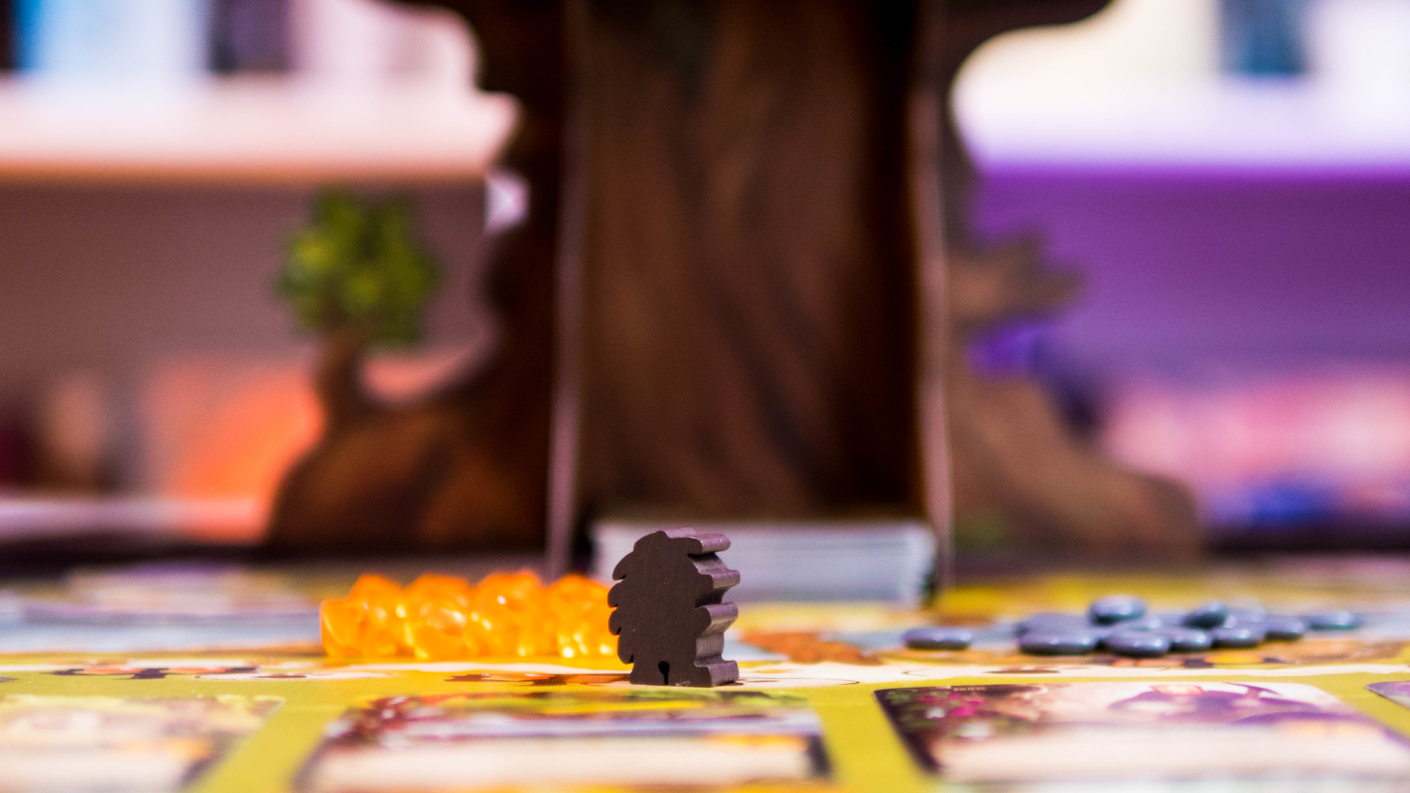 Review Shackleton Base