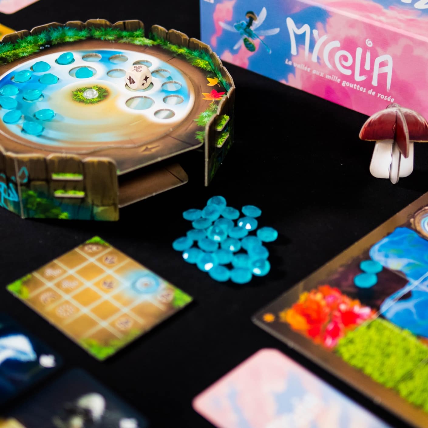 Mycelia – Game Review & Test: an original and refreshing family ...